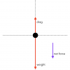 Everything You Need to Know About Force & Motion – Little Shop of ...