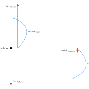 Everything You Need to Know About Force & Motion – Little Shop of ...
